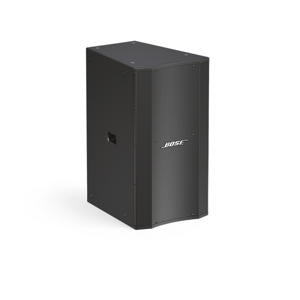 Point-Source Sound - BOSE PRO